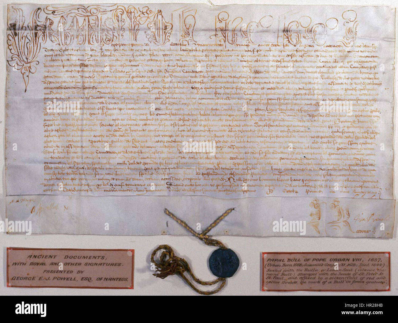 A papal bull is an official document issued by the Pope, often used for ...