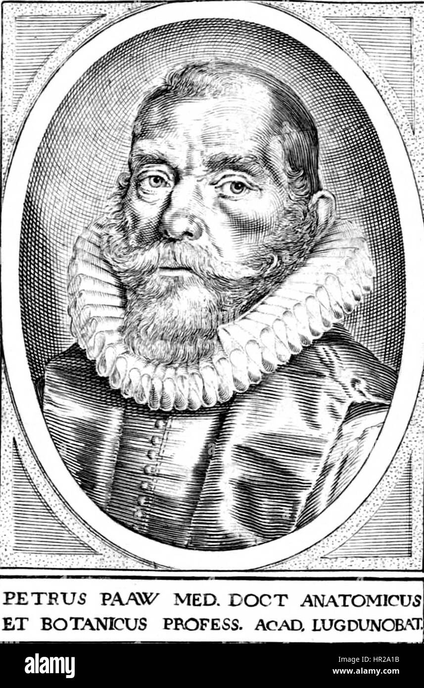 Petrus design hi-res stock photography and images - Alamy