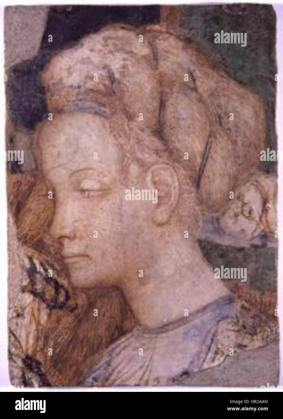 Pisanello (attr.), ritratto di donna, affresco staccato, palazzo ...