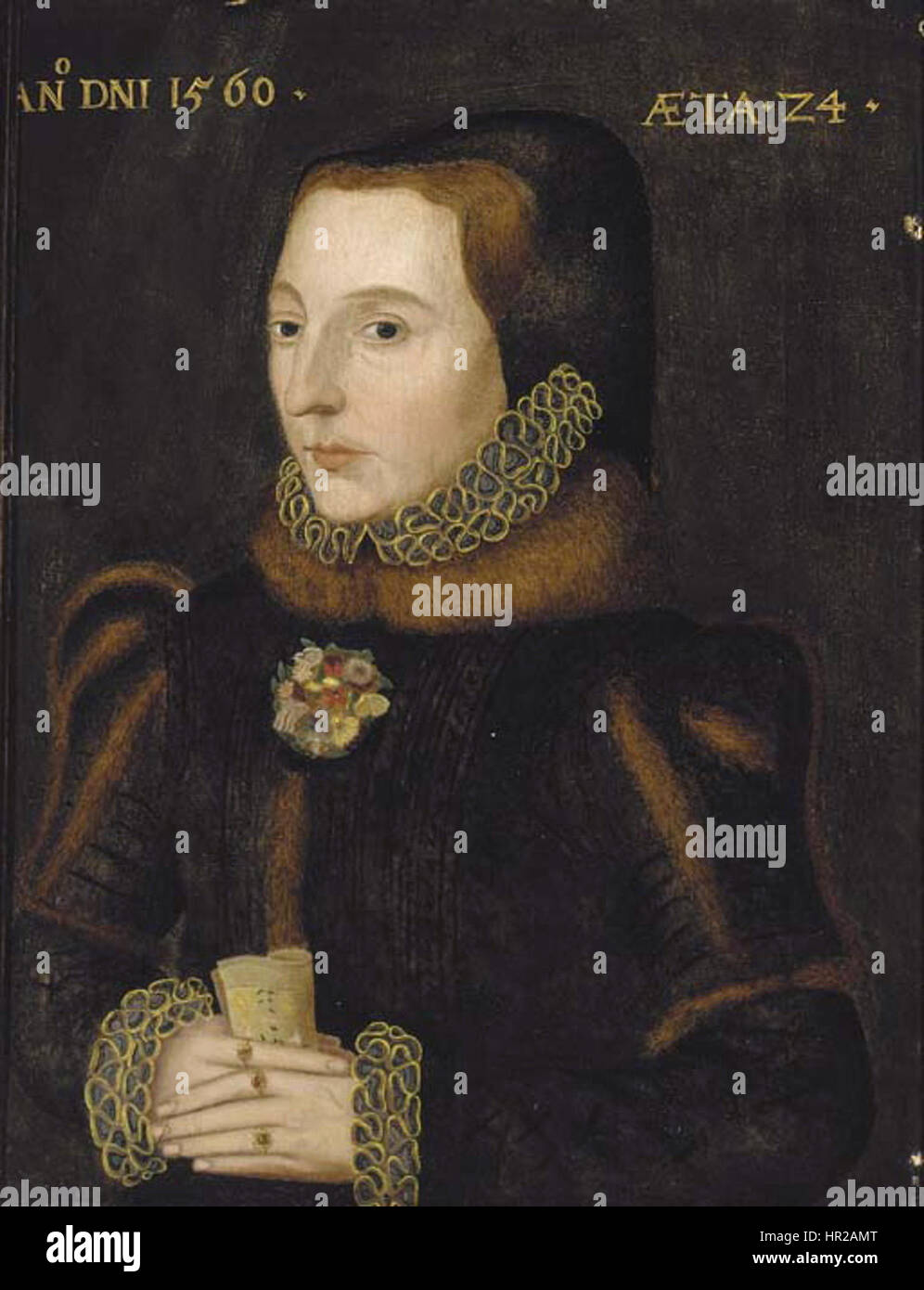 Portrait of a Lady aged 24 in 1560 Stock Photo - Alamy