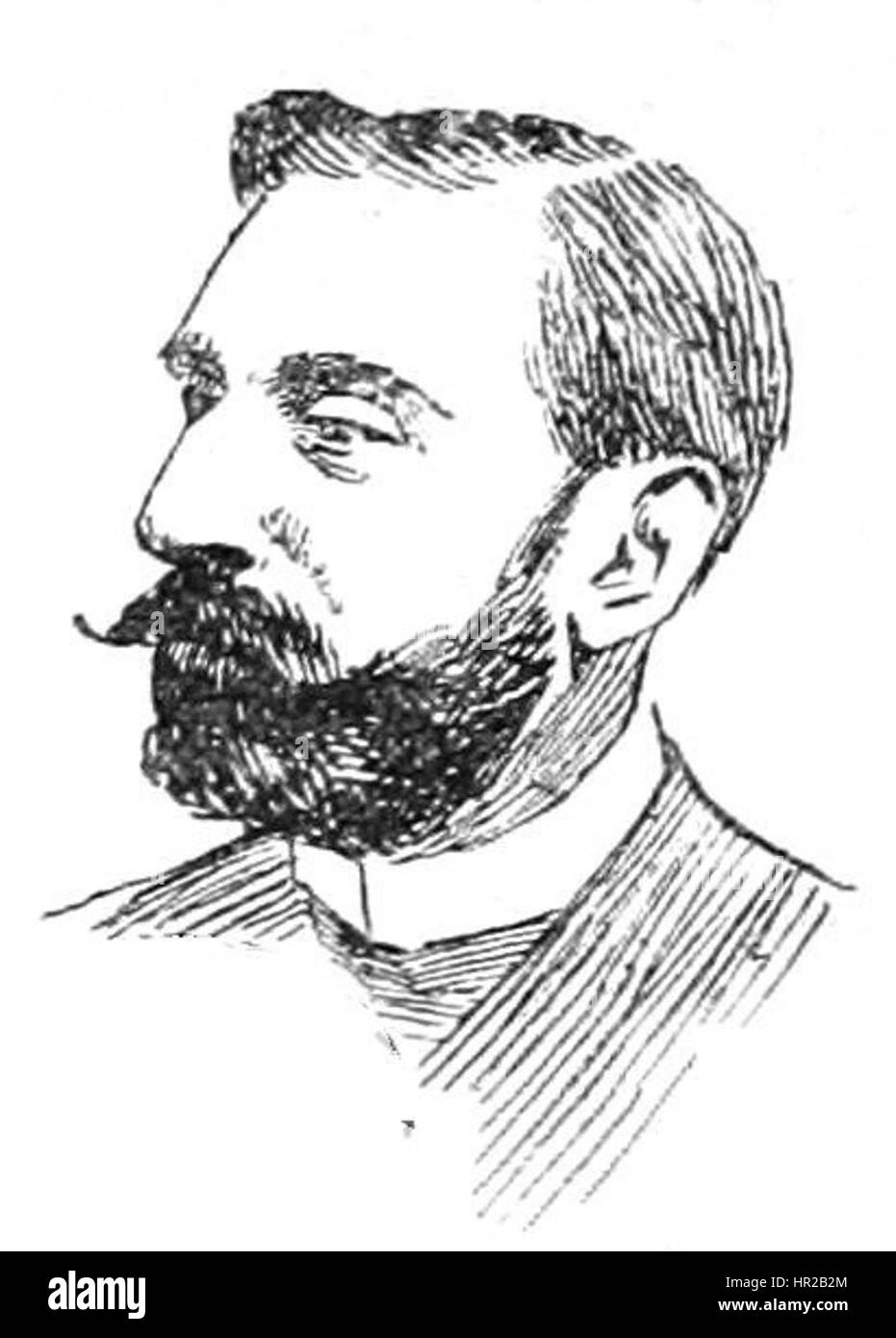 Piou piou hi-res stock photography and images - Alamy