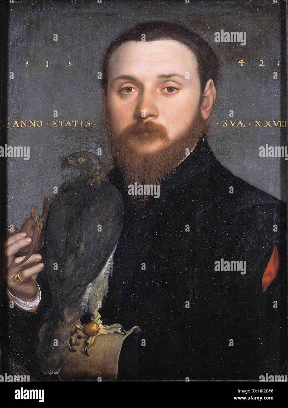 Portrait of a falconer by Hans Holbein the Younger Stock Photo - Alamy