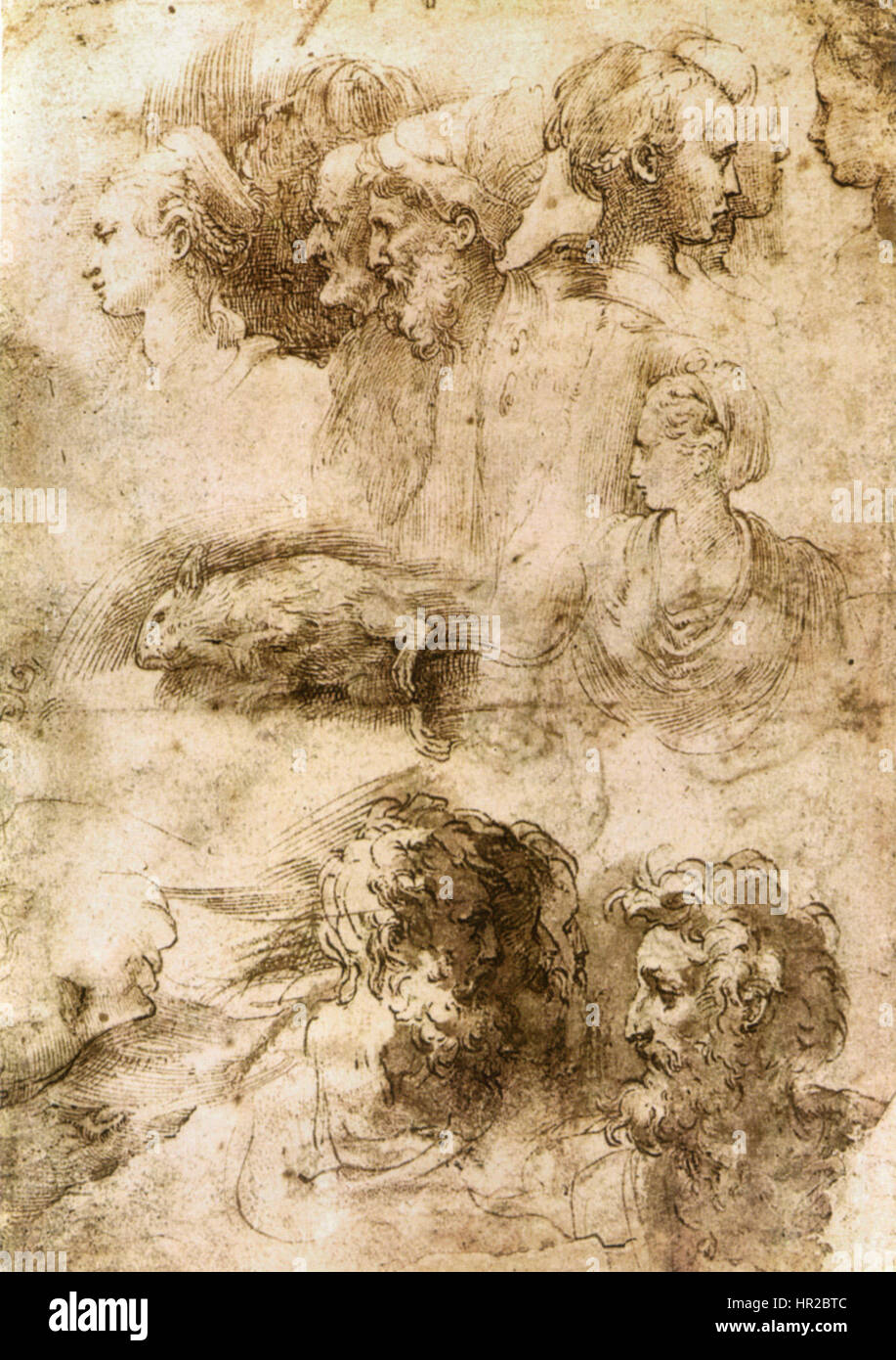 Topo morto hi-res stock photography and images - Alamy