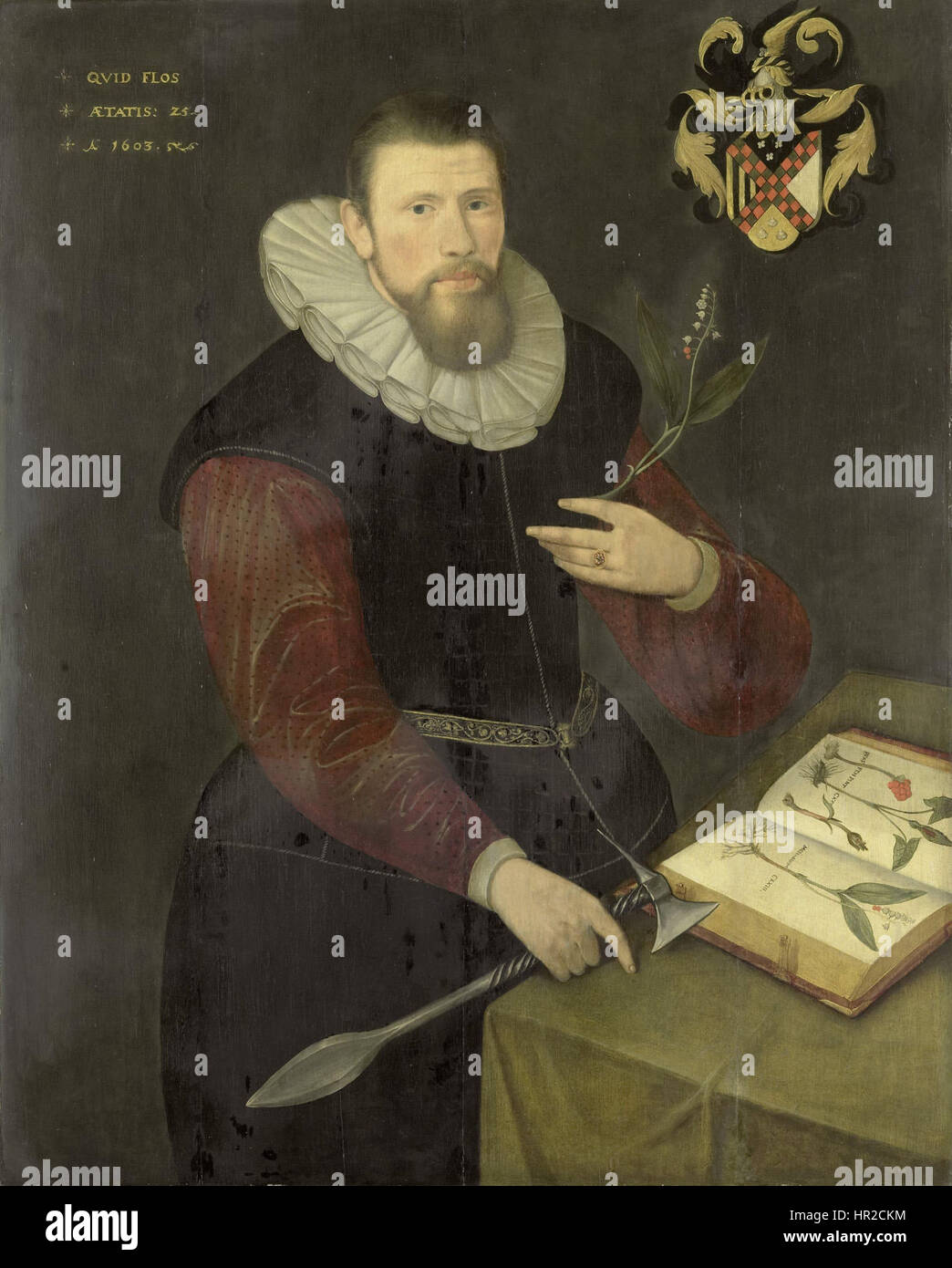 Portrait of a botanist 1603 Stock Photo - Alamy