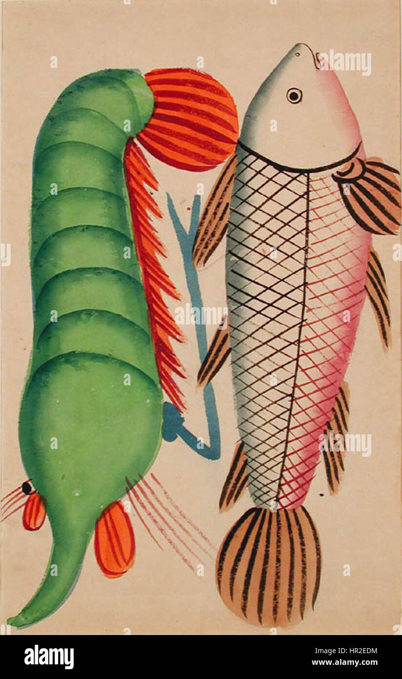 Rui Fish High Resolution Stock Photography and Images - Alamy