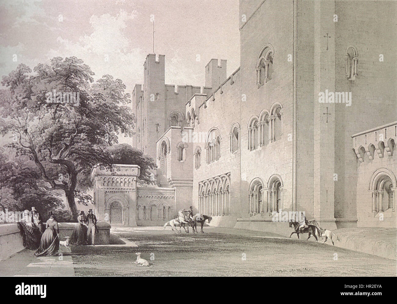 Penrhyn castle museum hi-res stock photography and images - Alamy