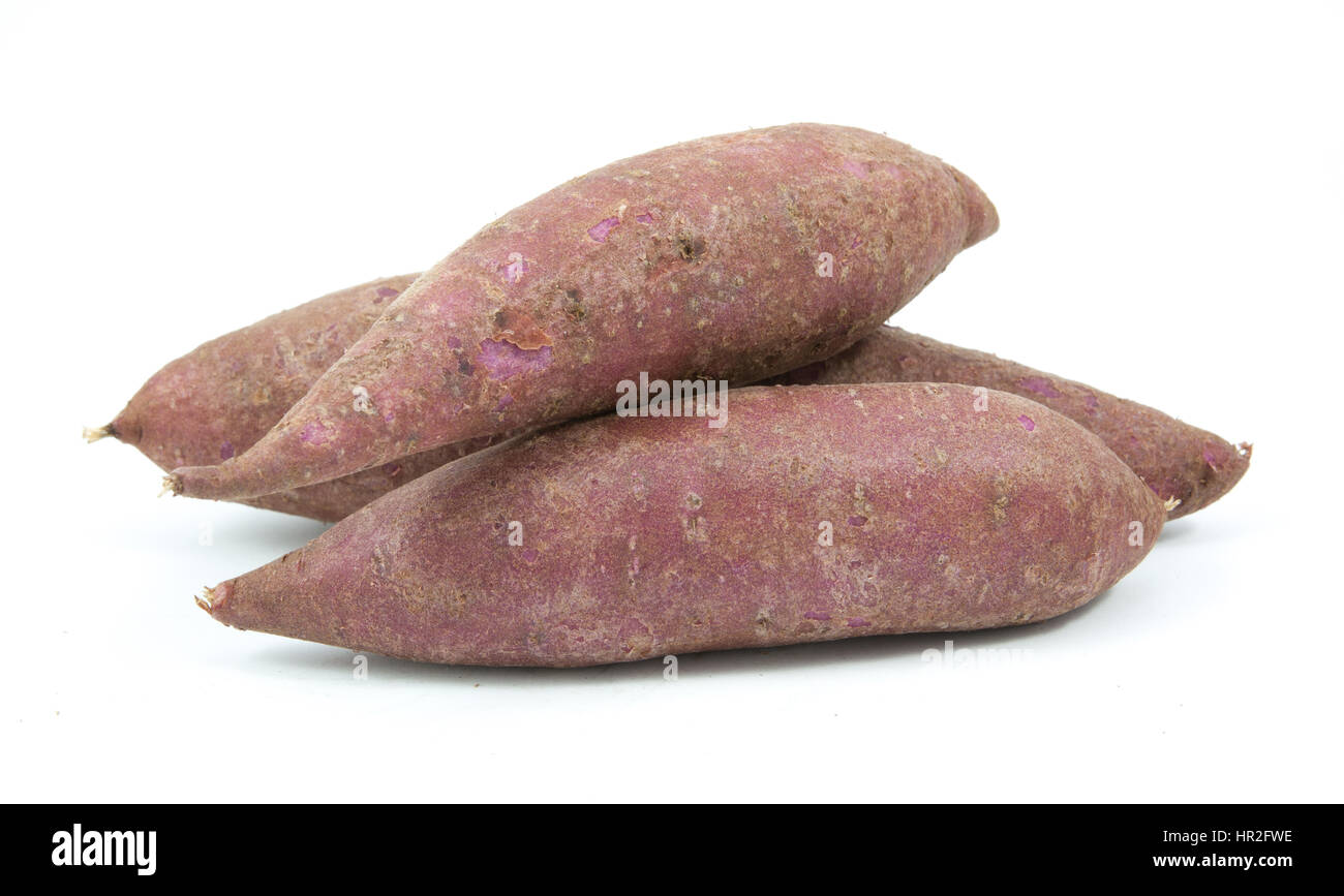 tapioca plants cassava closeup isolated on white background Stock Photo ...