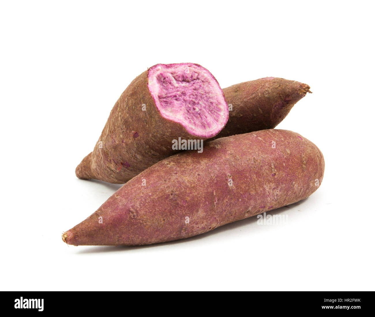 tapioca plants cassava closeup isolated on white background Stock Photo ...