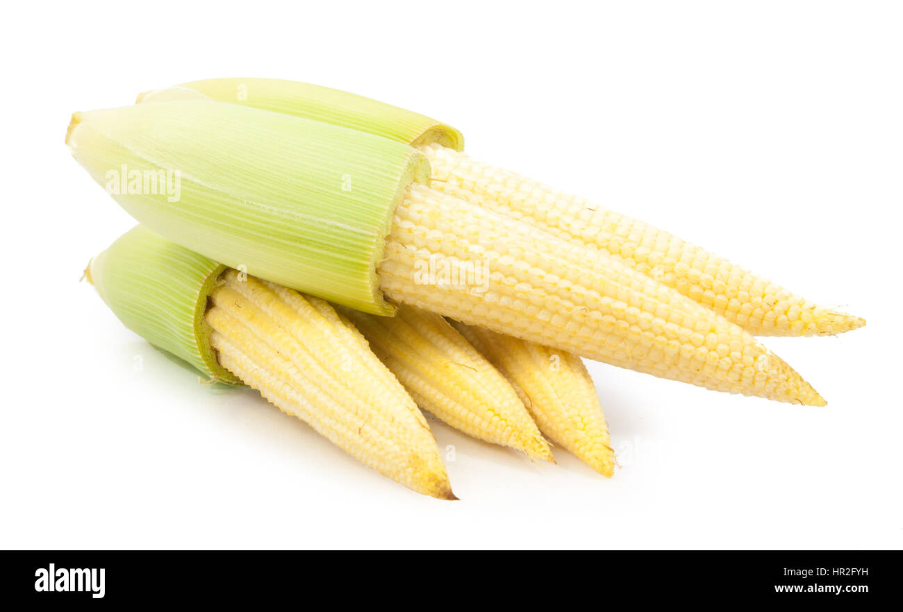 baby corn isolated on white background Stock Photo - Alamy