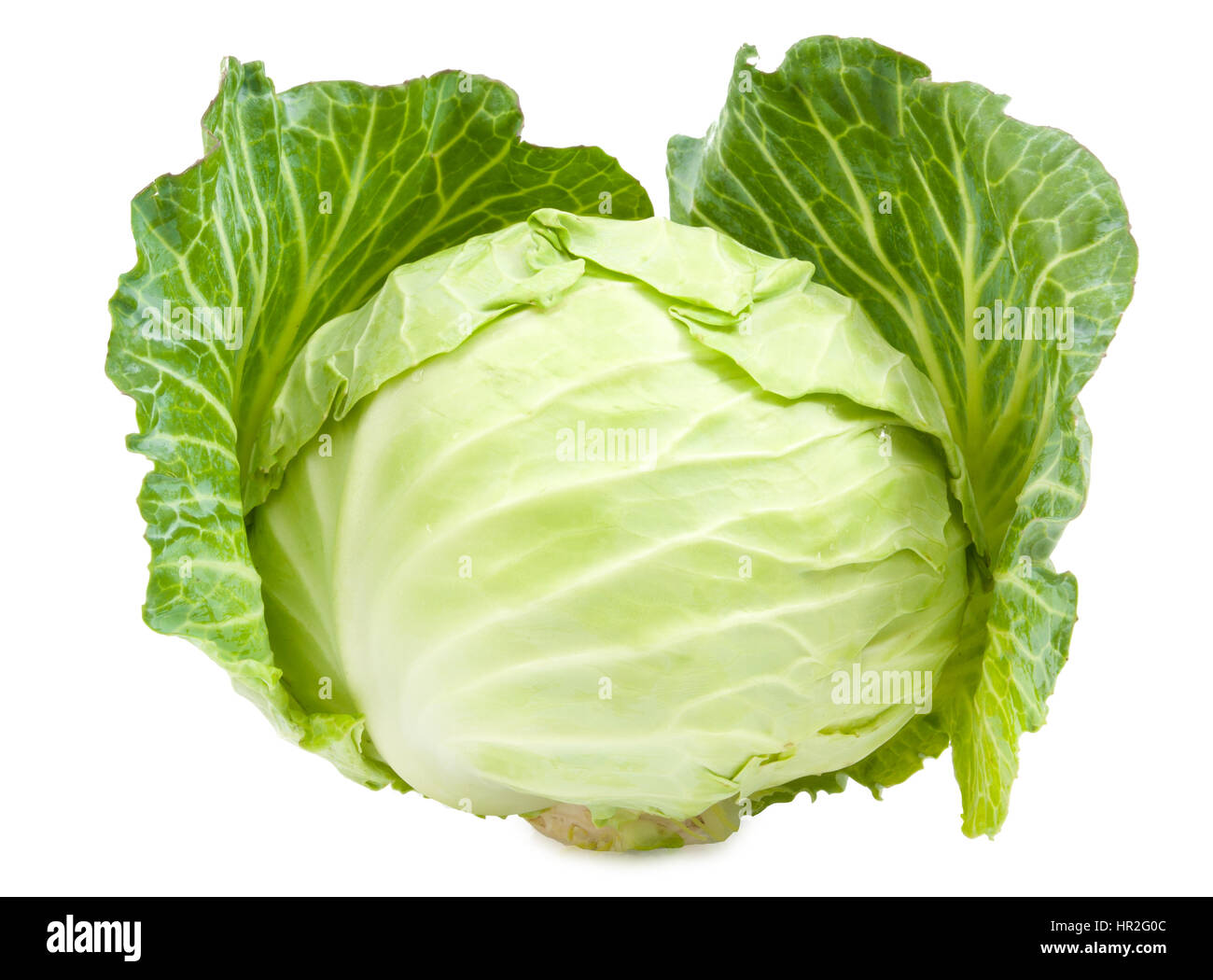 green cabbage isolated on white background Stock Photo - Alamy