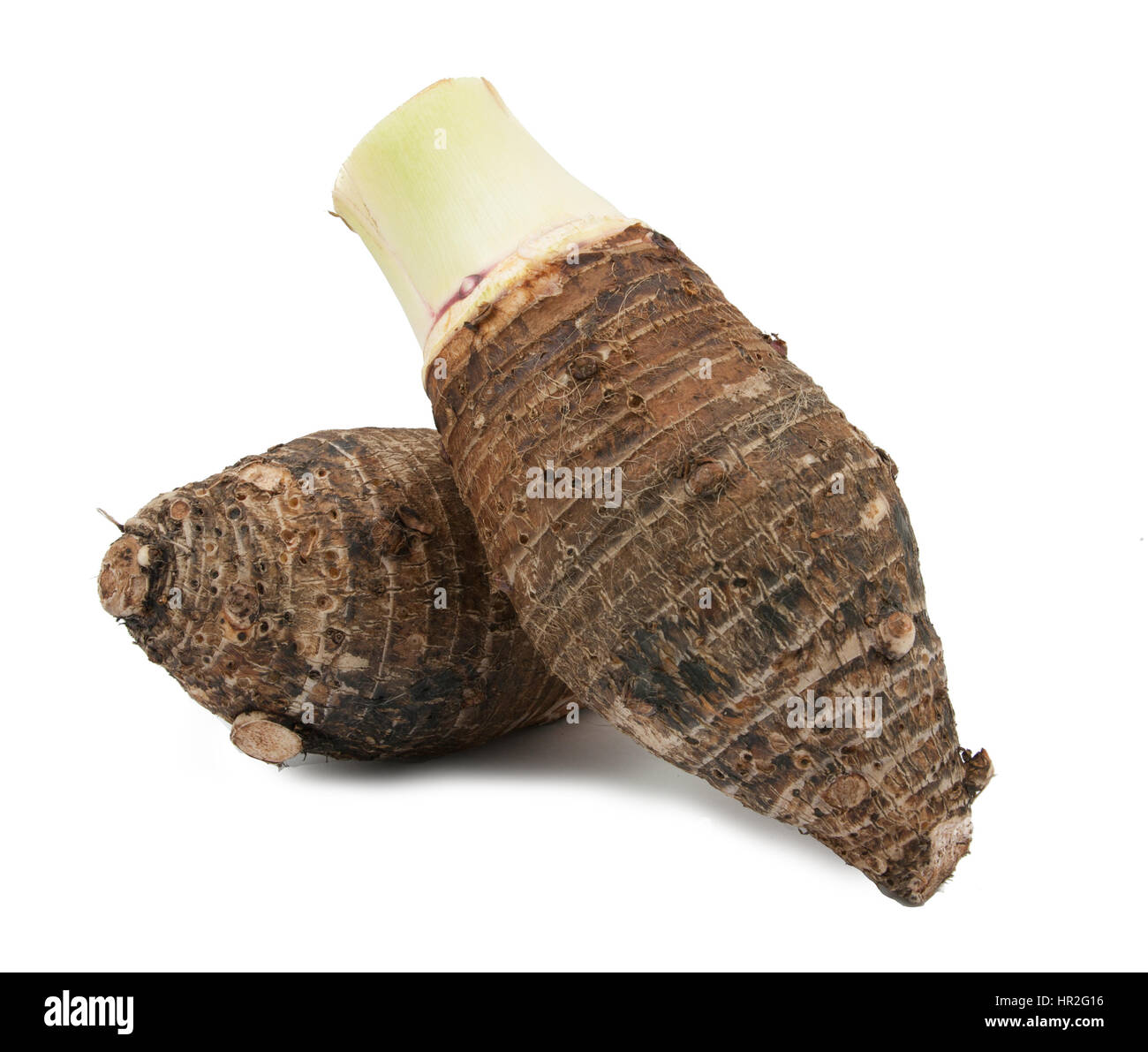 slice of taro isolated on white background Stock Photo - Alamy