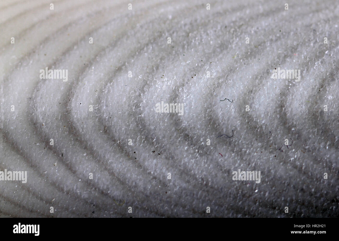 cuttlebone macro image of cuttlefish bone Stock Photo - Alamy