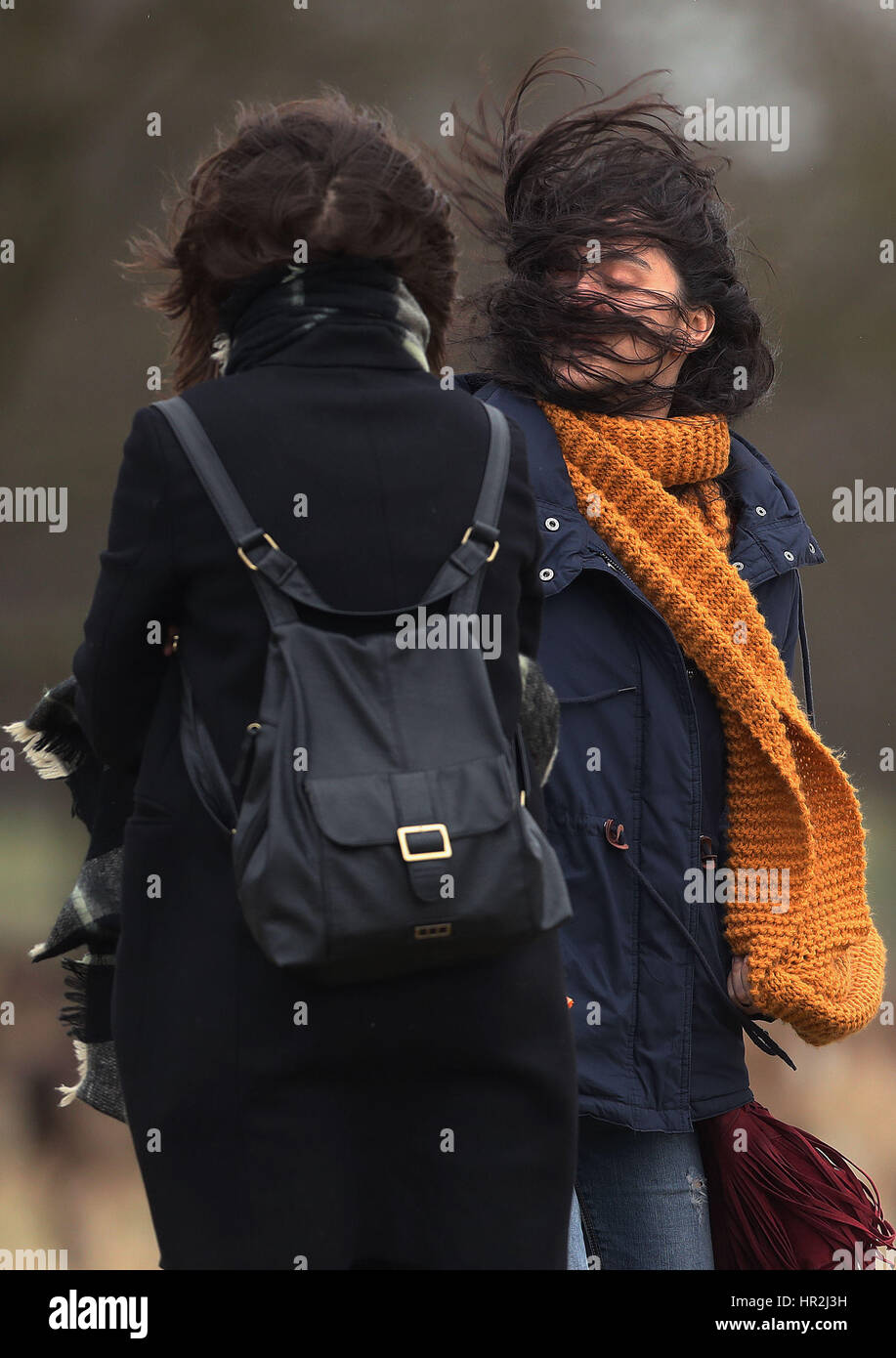Visitors brave the strong winds in Phoenix Park, Dublin Stock Photo - Alamy