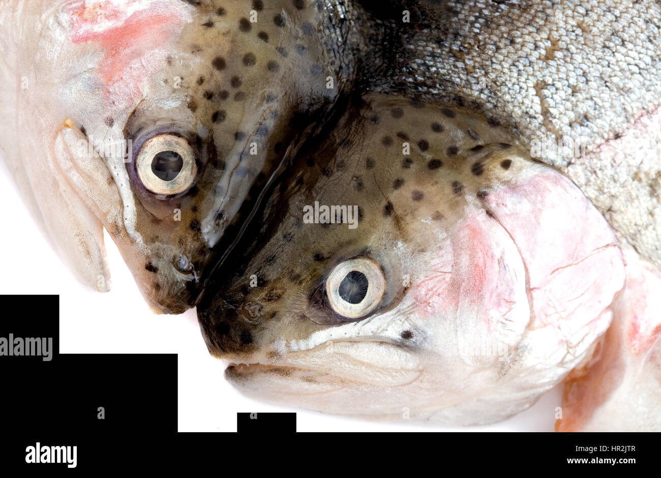 fish - sea food isolated over a white background Stock Photo - Alamy