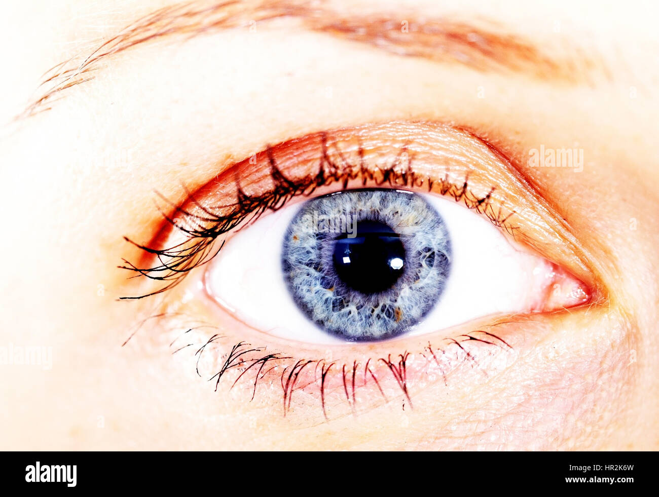 beautiful blue eye close up over exposed over a white background Stock ...