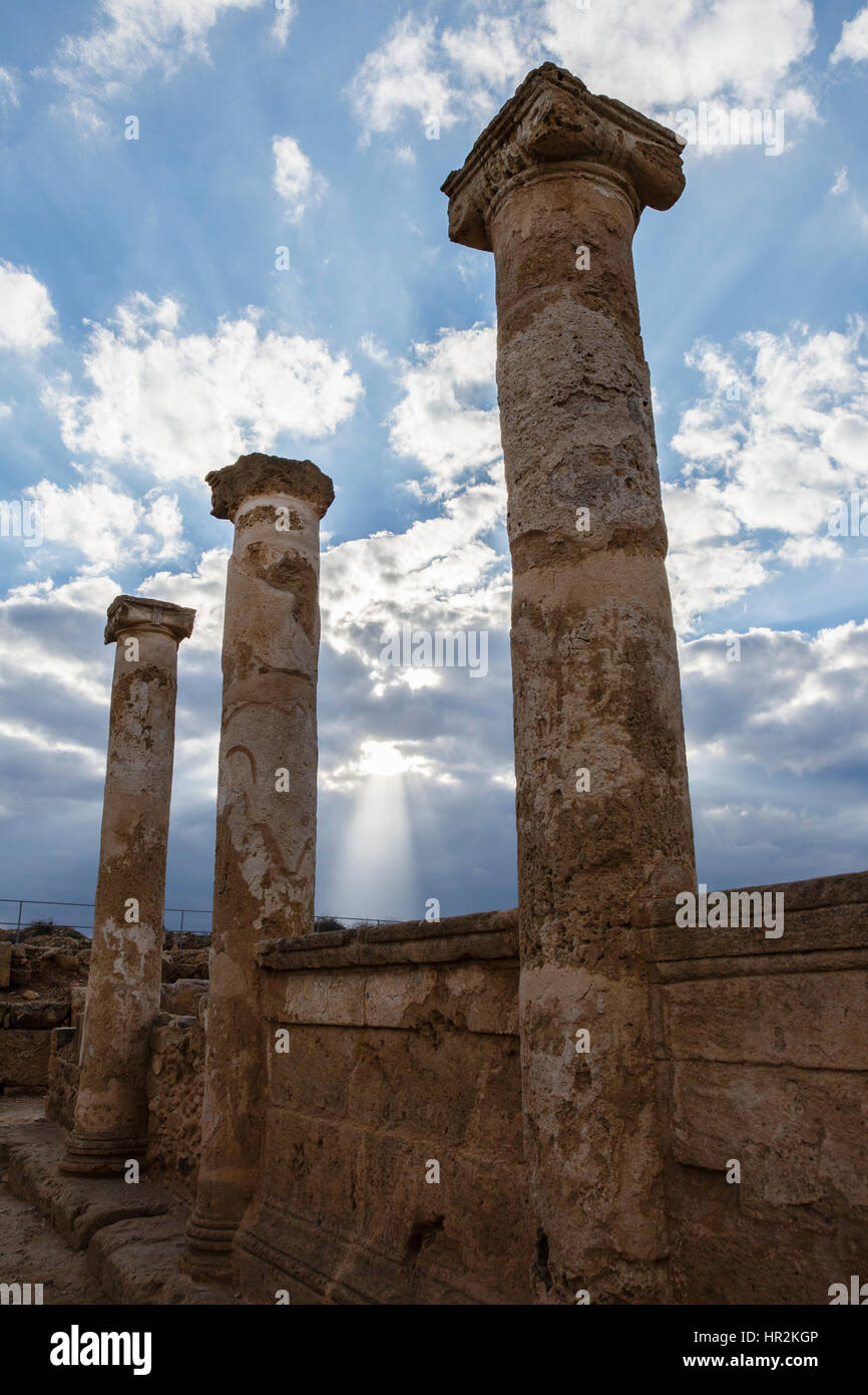 Roman columns around the forum, House of Theseus, Paphos Archaeological ...