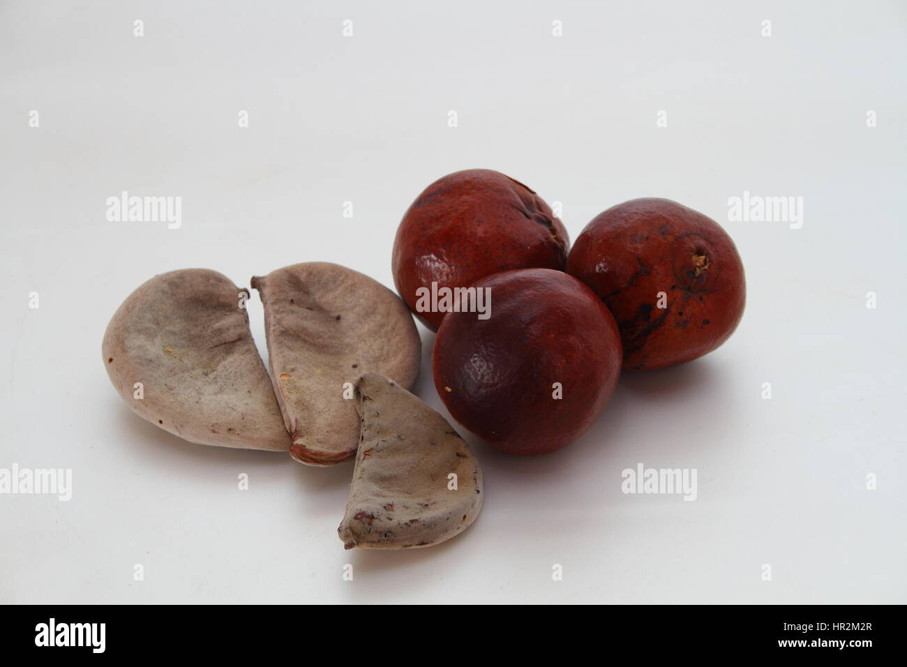 Two pairs of three seed pods on a white background in landscape format ...