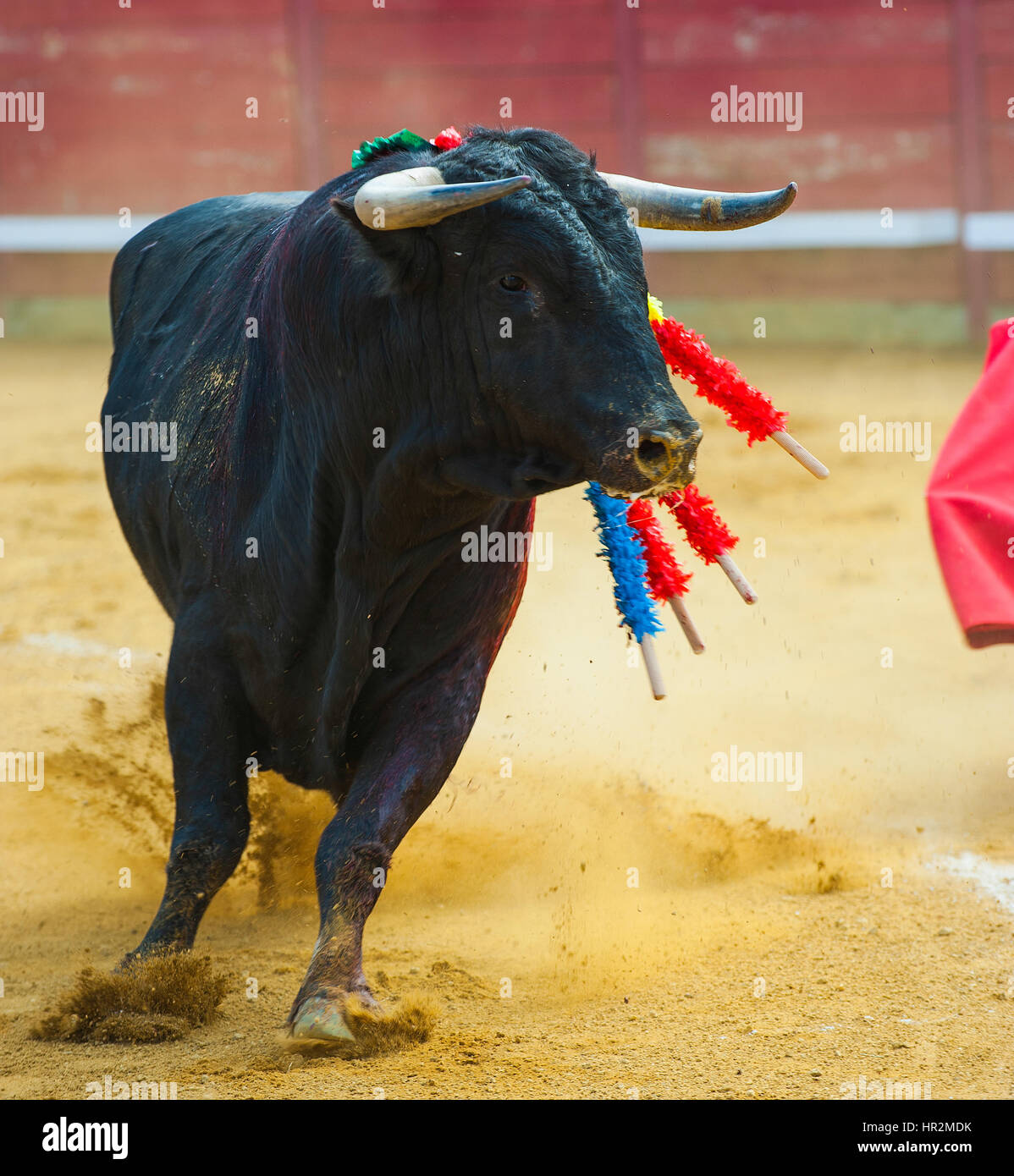 Bullfigth hi-res stock photography and images - Alamy