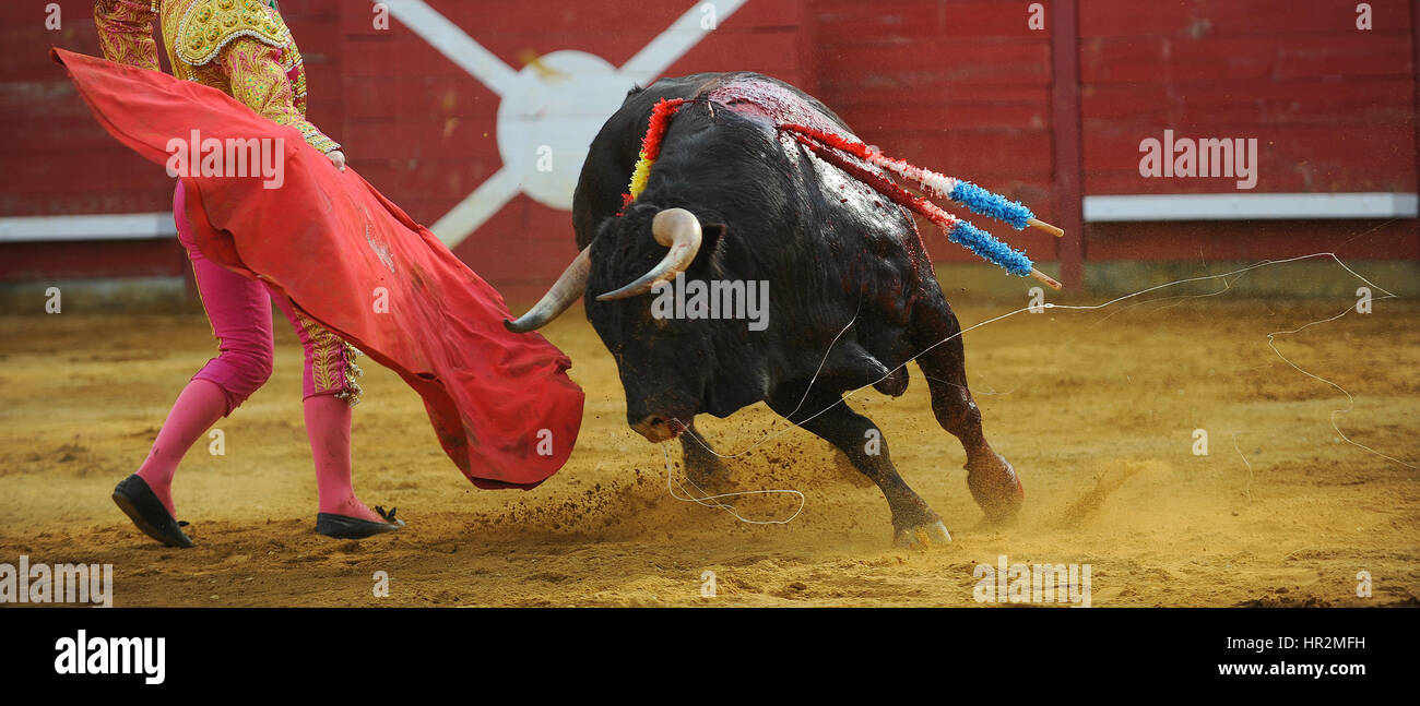 El Toro - Bullfigth corrida Stock Photo - Alamy