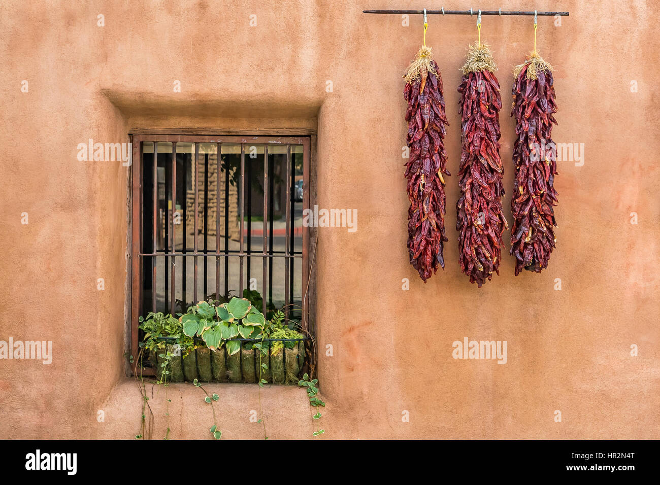 A ristra is an arrangement of drying chile pepper pods, garlic bulbs ...