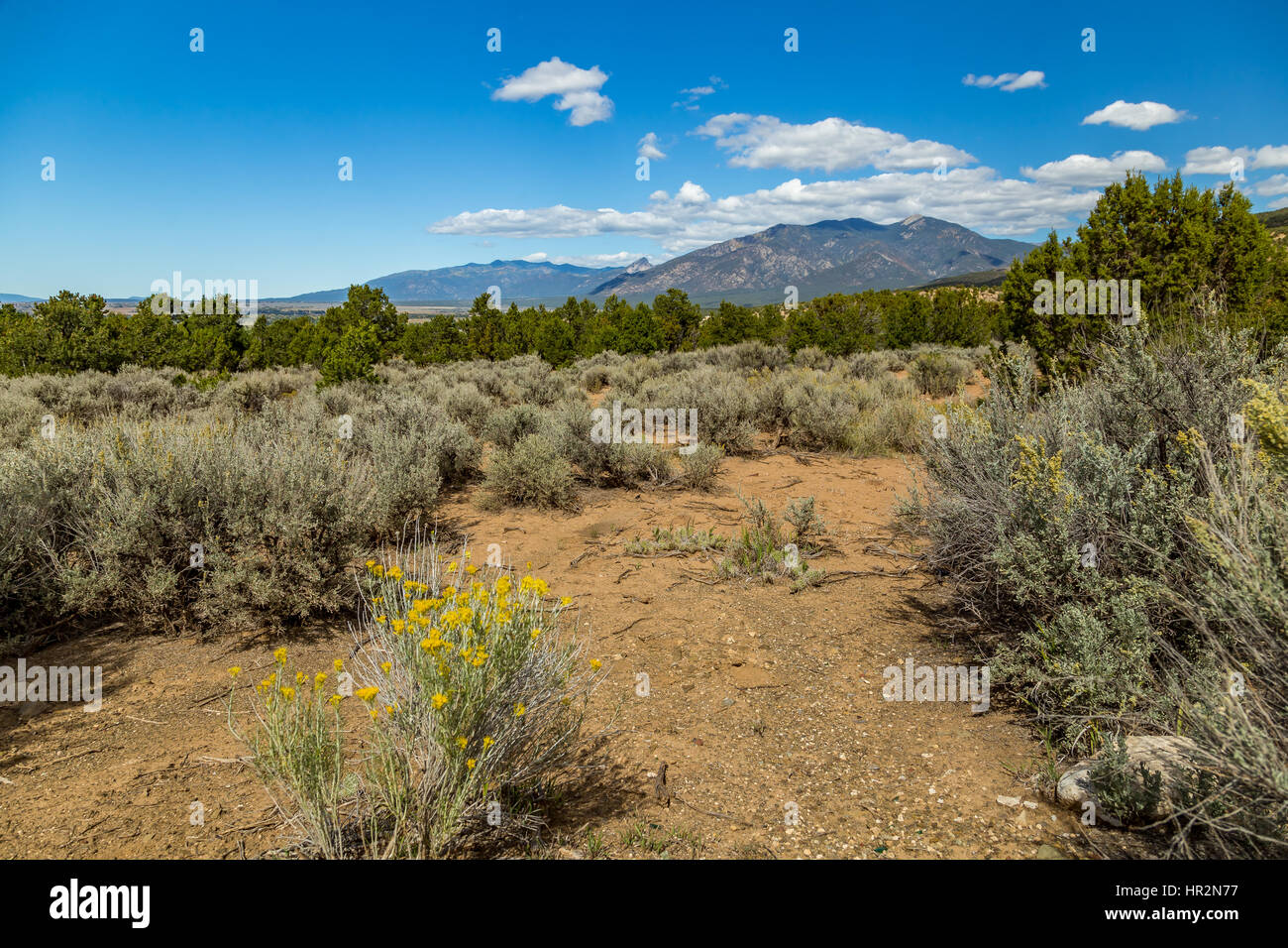 A View of a portion of the Kit Carson National Forest in the foothills ...