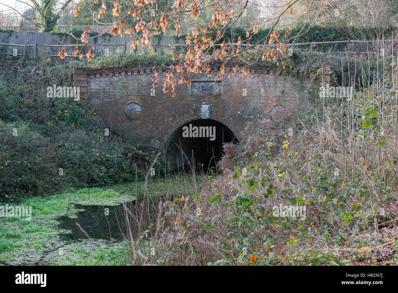 Bat tunnel in greywell hi-res stock photography and images - Alamy