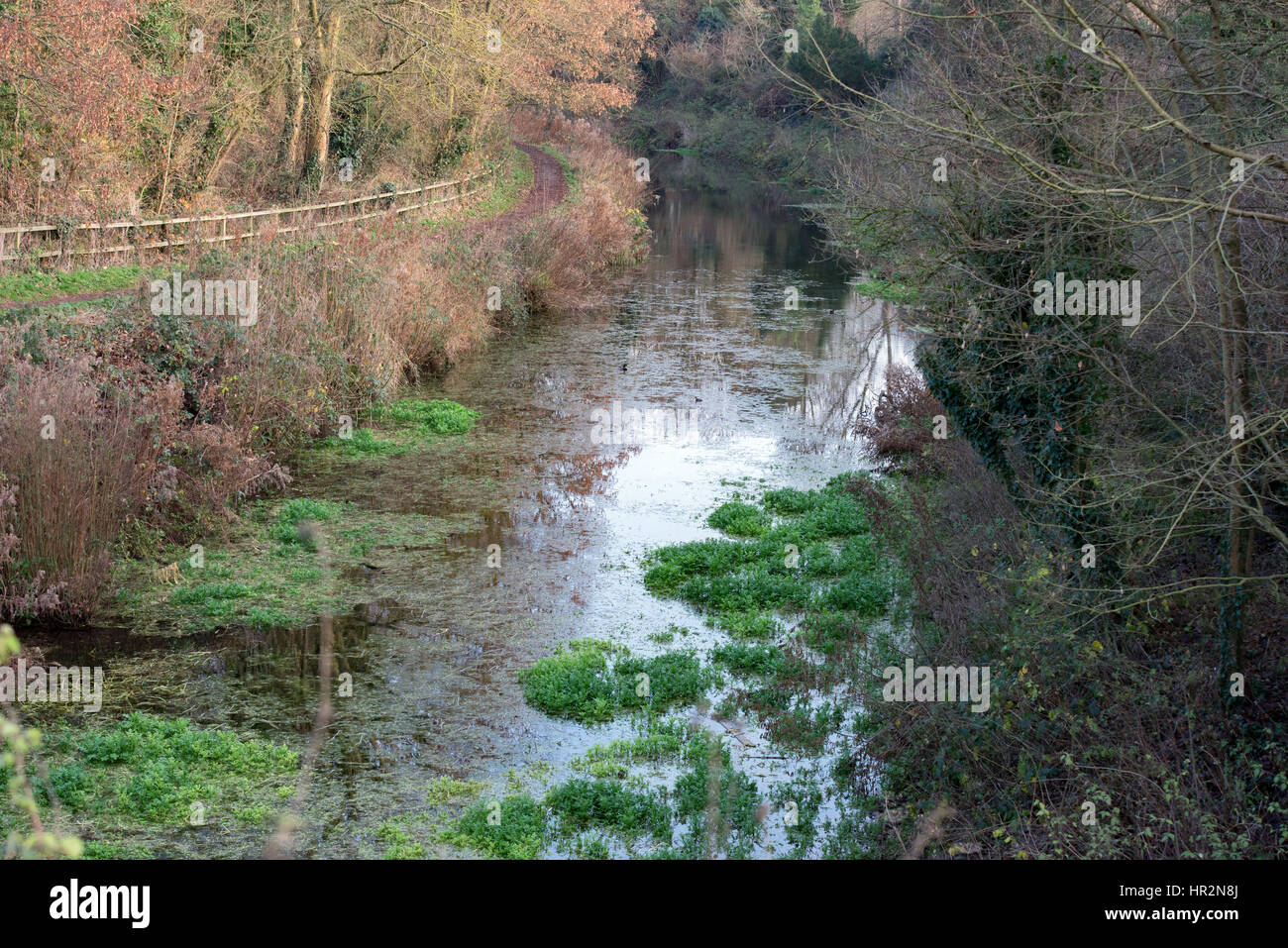 Greywell tunnel hi-res stock photography and images - Alamy
