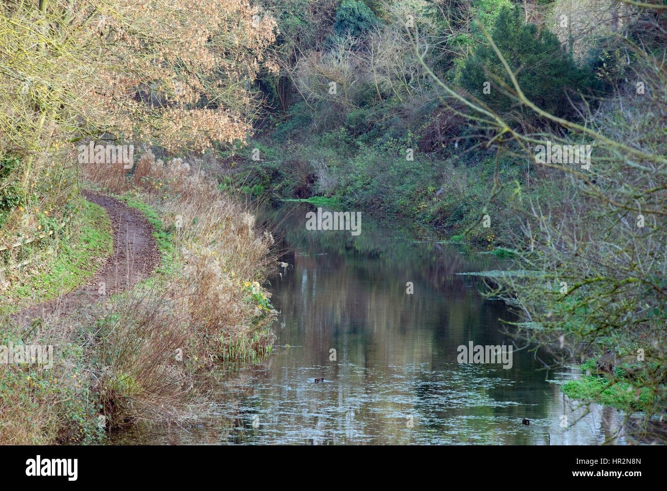 Greywell tunnel hi-res stock photography and images - Alamy