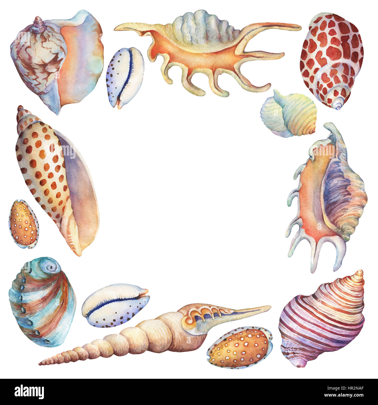 Square frame with hand painted underwater life objects. Marine design ...