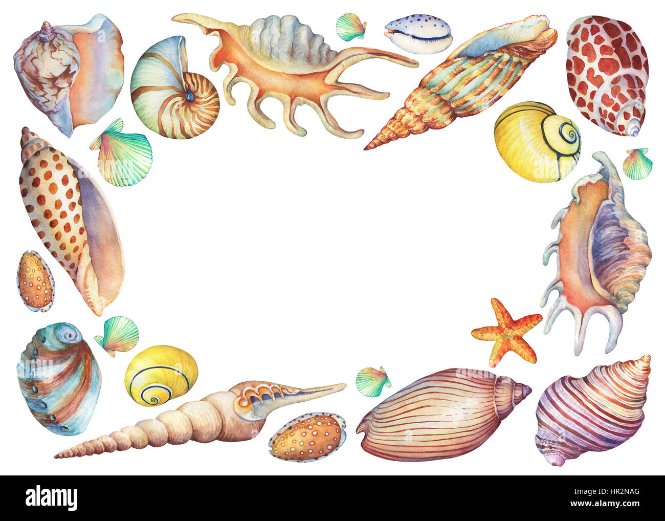 Square frame with hand painted underwater life objects. Marine design ...