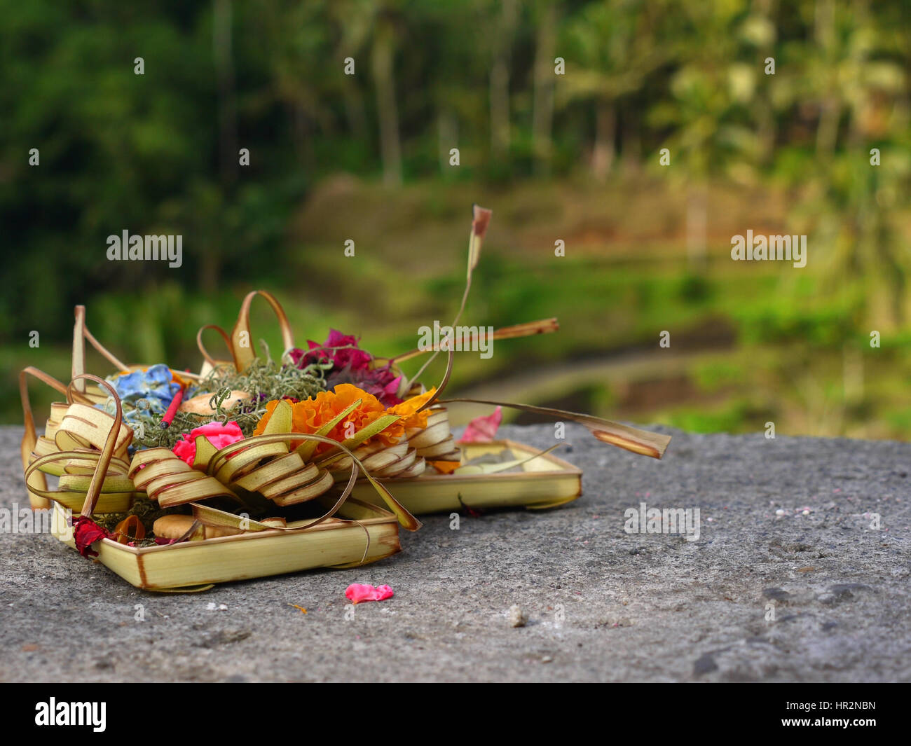 Balinese traditional offerings to gods and spirits with rice terraces ...