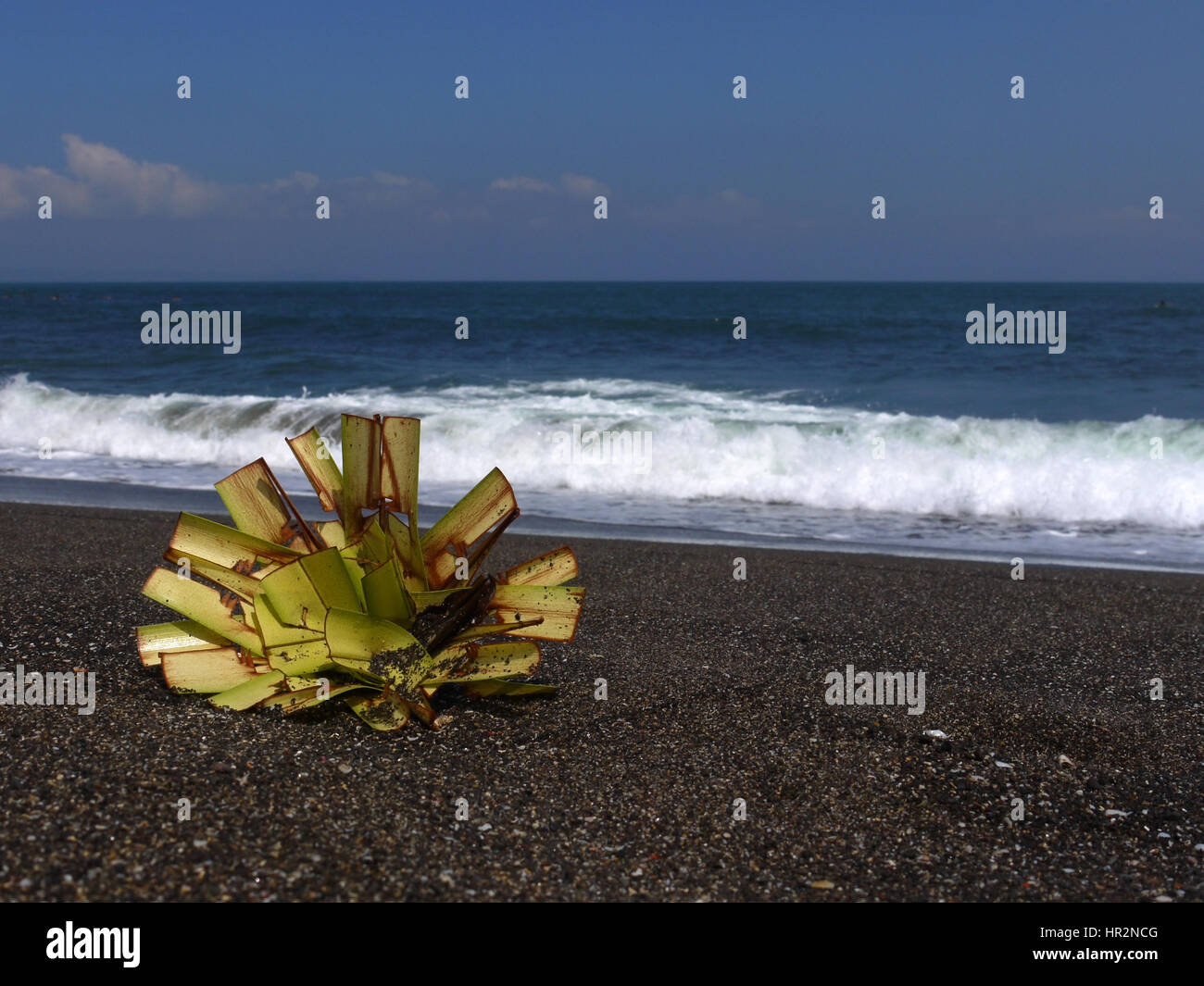 Offerings to god hi-res stock photography and images - Alamy