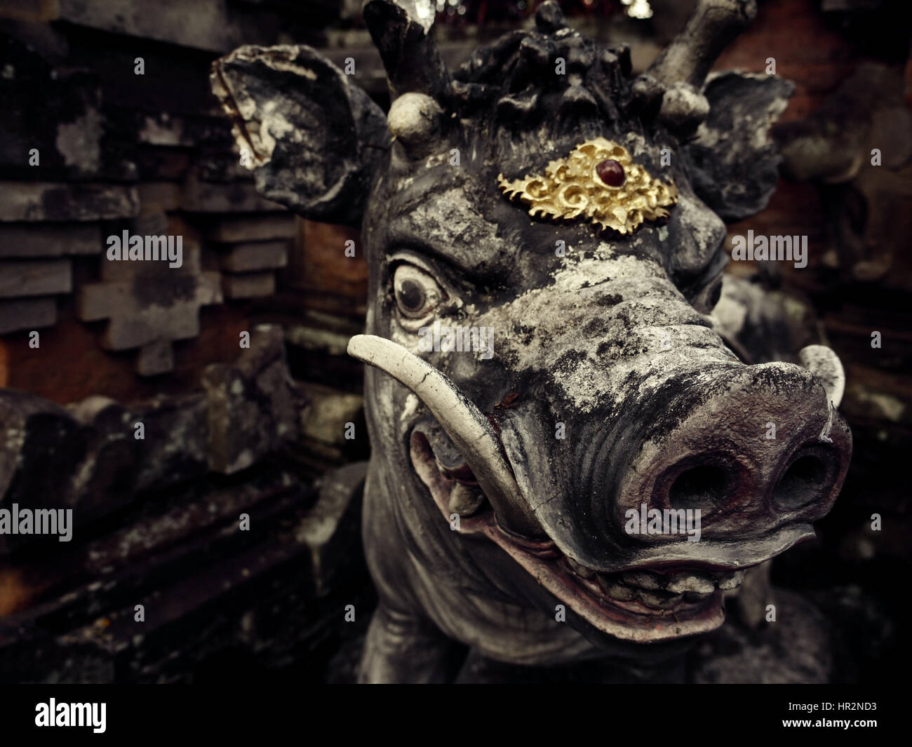 Stone wild boar sculpture near the temple in Bali, head close-up ...