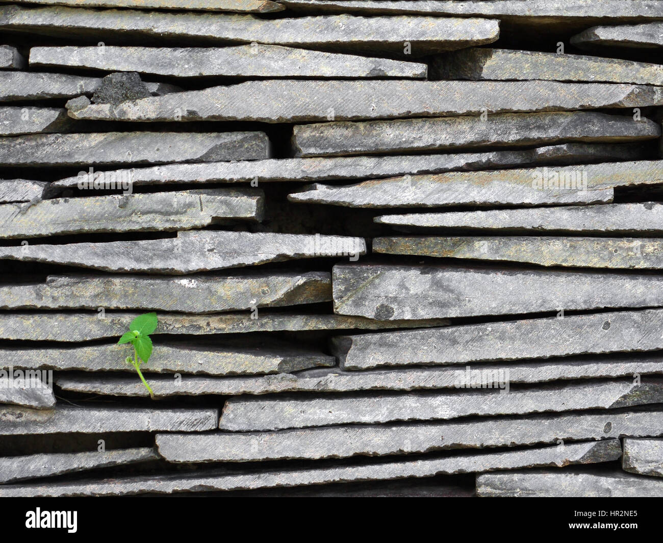 Flat blocks hi-res stock photography and images - Alamy