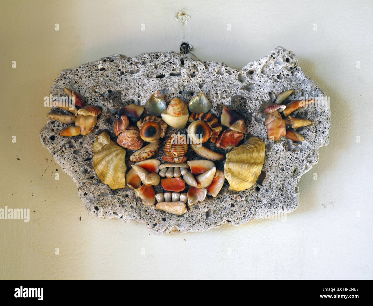 Wall made of shells hi-res stock photography and images - Alamy
