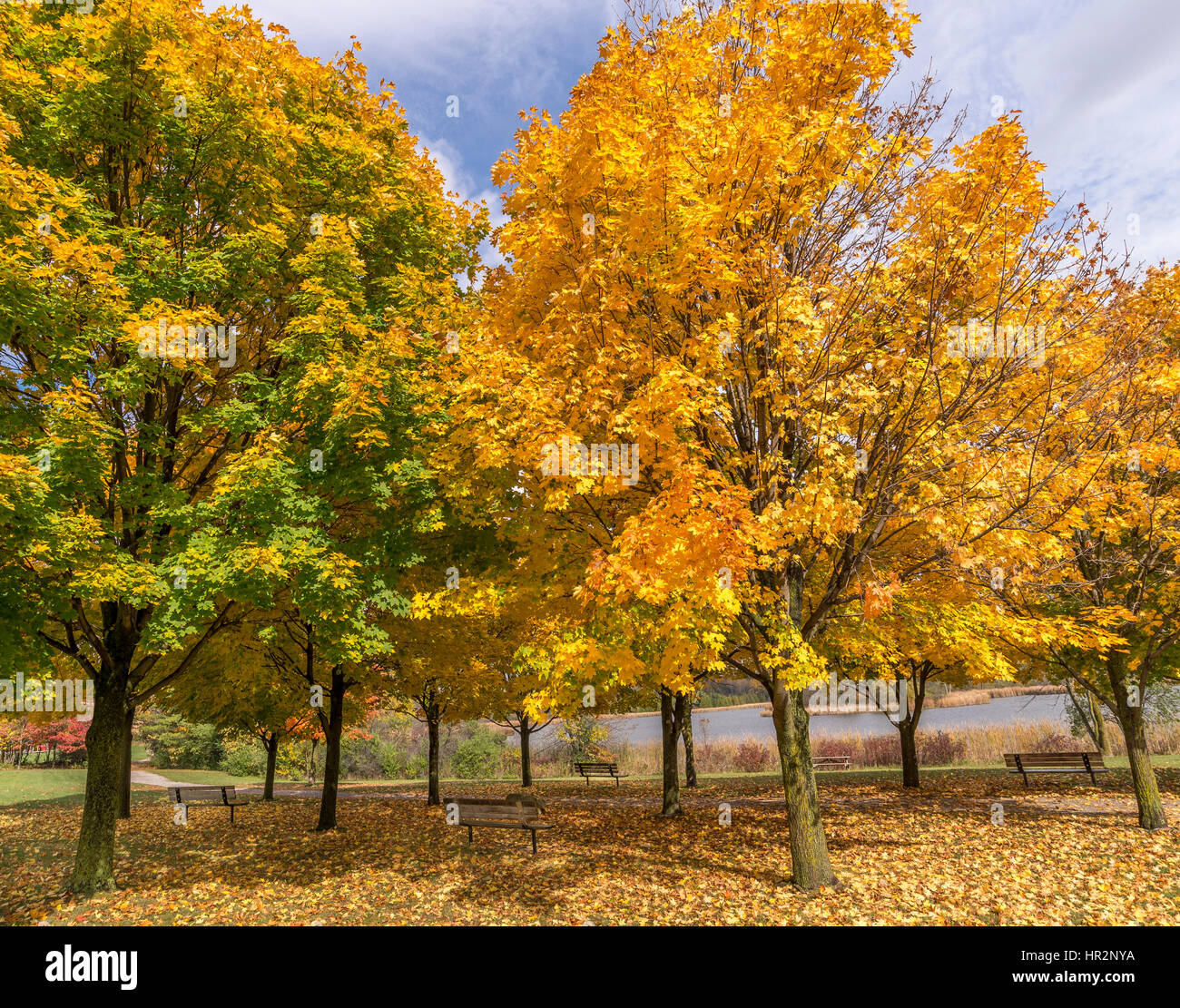 Shaded benches hi-res stock photography and images - Alamy