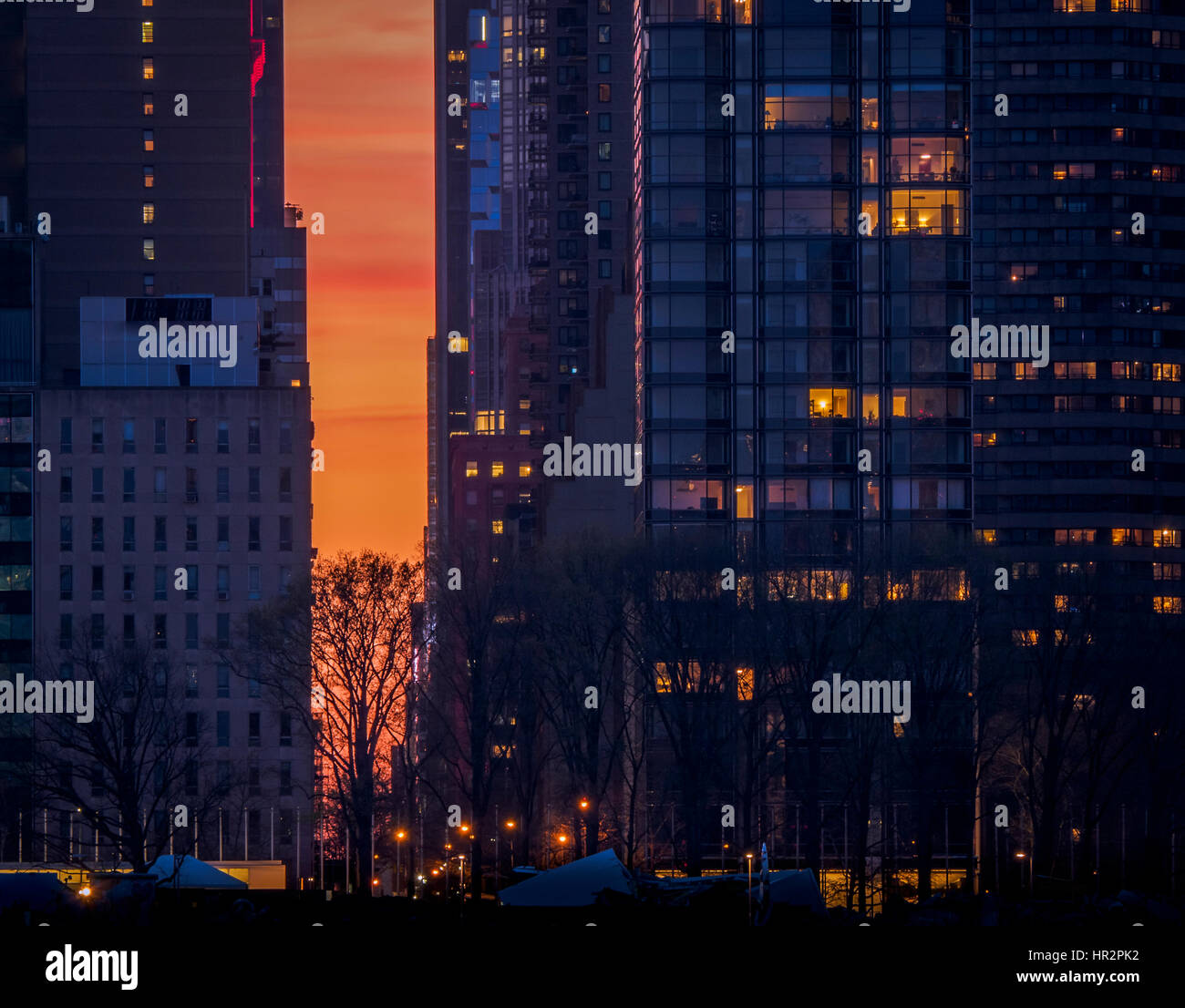 High Rise Buildings with beautiful tree in middle Stock Photo - Alamy