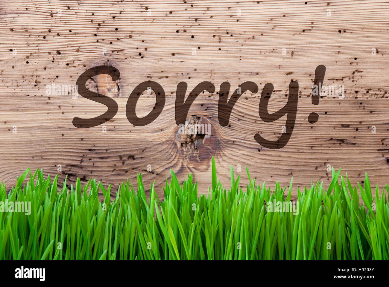 English Text Sorry. Spring Season Greeting Card. Bright Aged Wooden ...