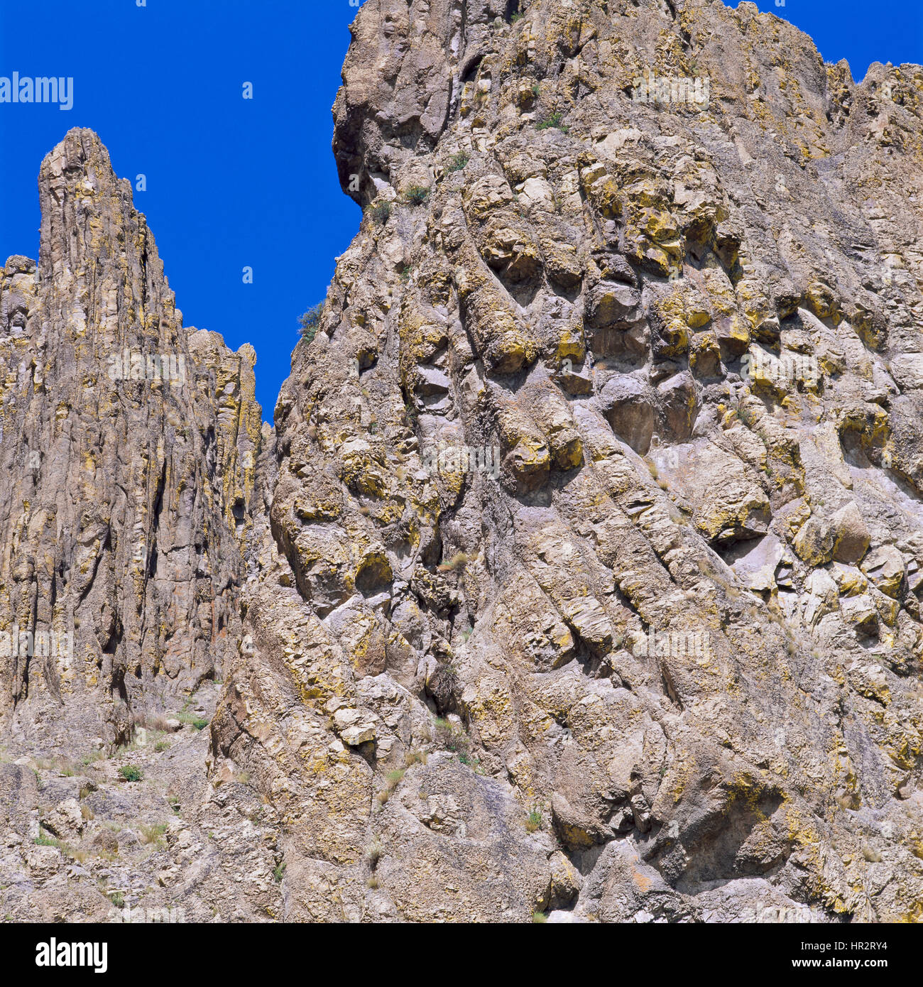 twisted shonkinite (basalt) columns on top of birdtail butte near simms ...