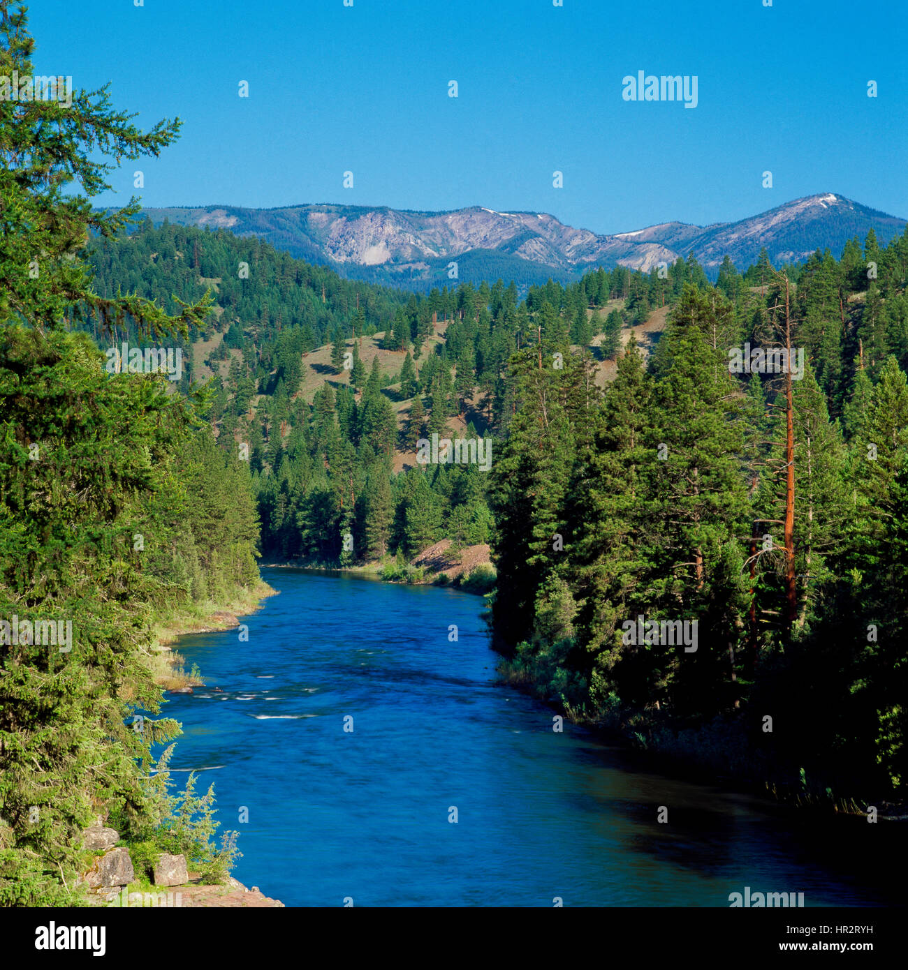 The Blackfoot River Montana at Eva Howse blog