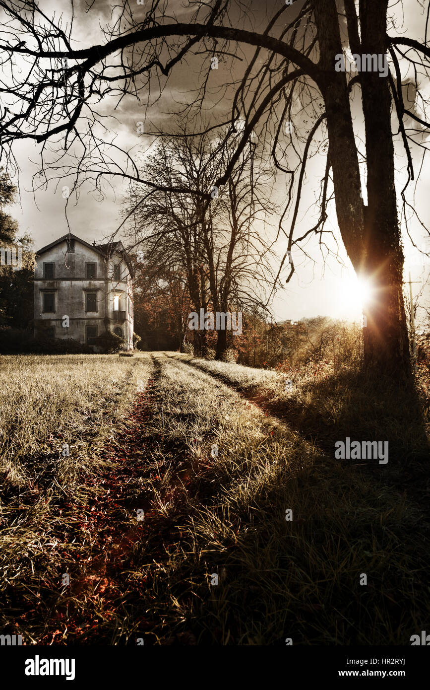 An old haunted house stands at the end of a driveway littered with dry ...