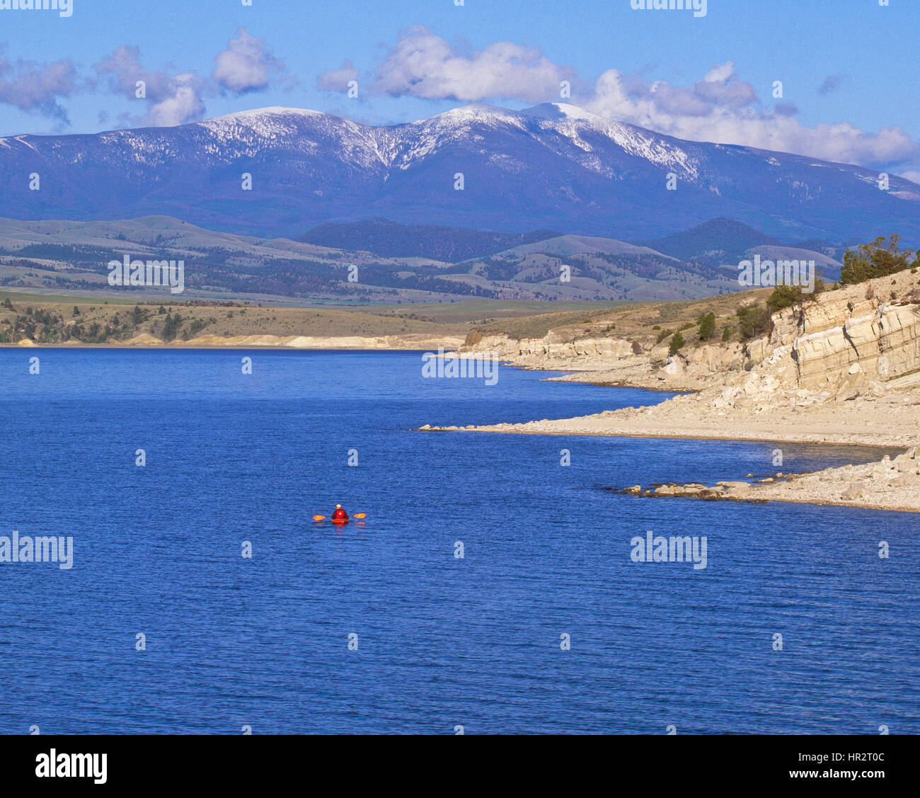 White baldy hi-res stock photography and images - Alamy