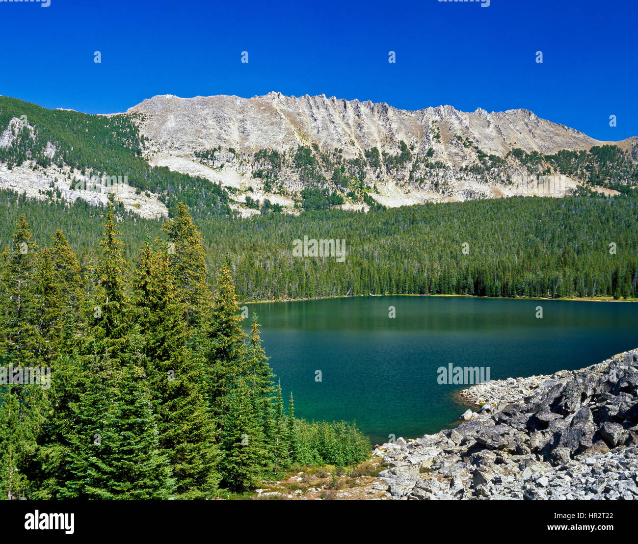 Mt 7853 hi-res stock photography and images - Alamy