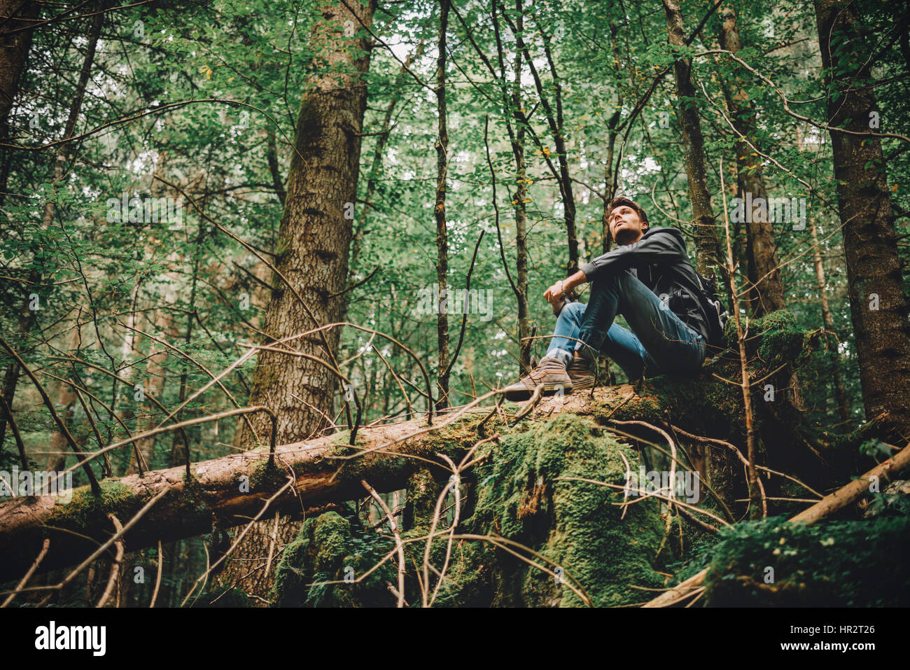 Sitting at a trunk hi-res stock photography and images - Alamy