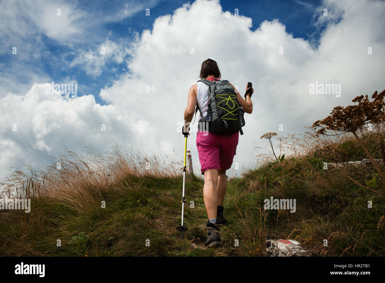 Woman hiking using hiking poles, nordic walking and outdoor sports ...