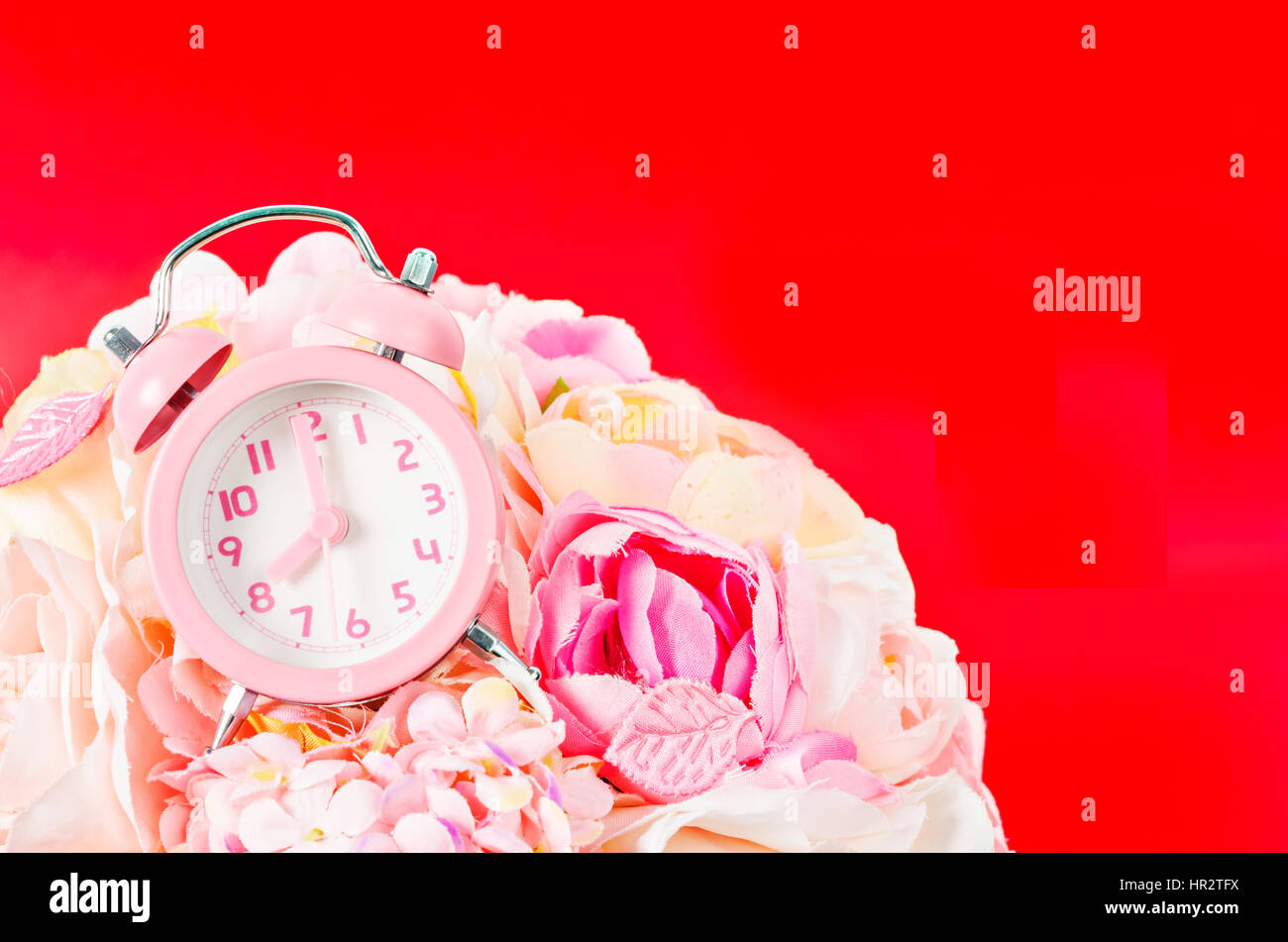 Pink alarm clock on bouquet pink rose background with empty space Stock ...