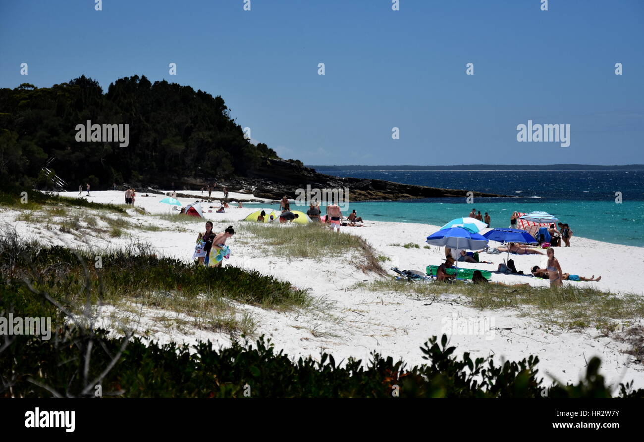 Hyams park hi-res stock photography and images - Alamy