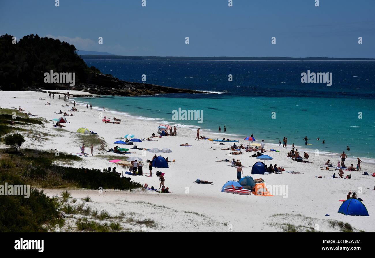 Hyams park hi-res stock photography and images - Alamy