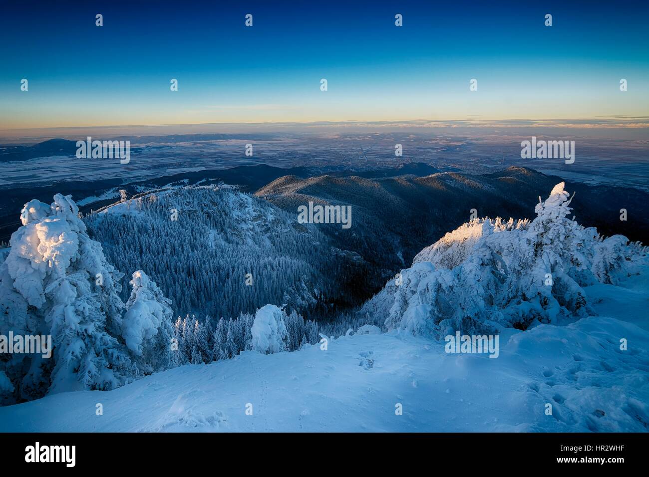 Winter landscape with fir trees forest covered by heavy snow in ...