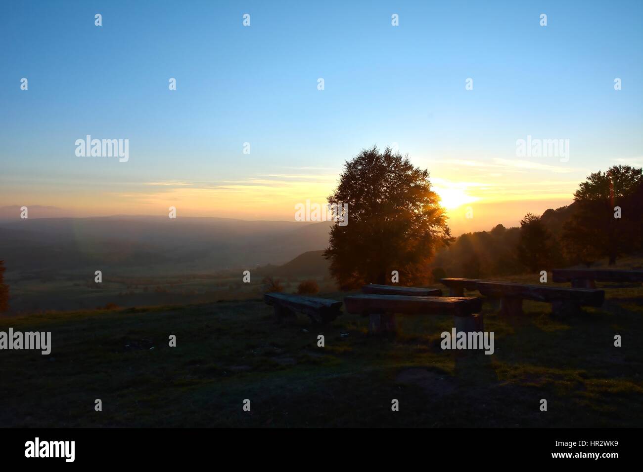Wooden picnic table in field with trees at sunset Stock Photo - Alamy